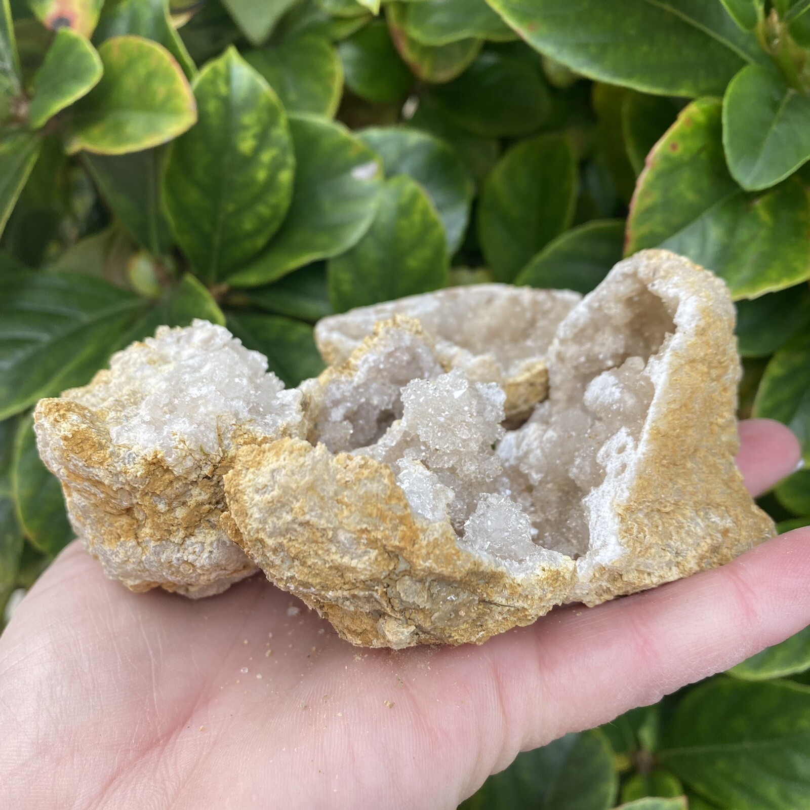 5 x Break Your Own Geodes - Mini Crystal Caves - MEDIUM CLEAR QUARTZ ...