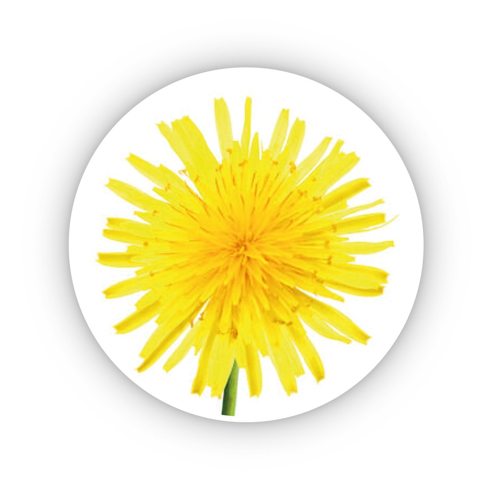 Pack of 24 paper labels, Yellow Dandelion Stickers, Crafts Sticker | eBay