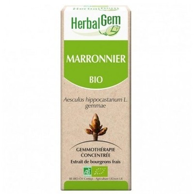 GEMMOBASE Marronnier | eBay