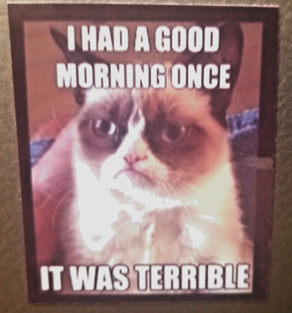 Grumpy Morning