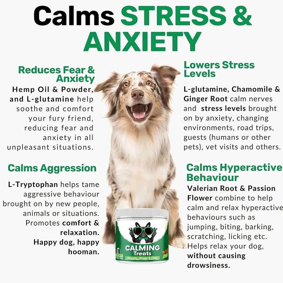 120 Pieces NutriPaw Calming Treats For Dog Reduce Stress Fear ...