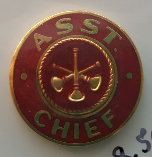 Firefighter Assistant Chief Fire Collar Brass Chain of Command 11/16 ...