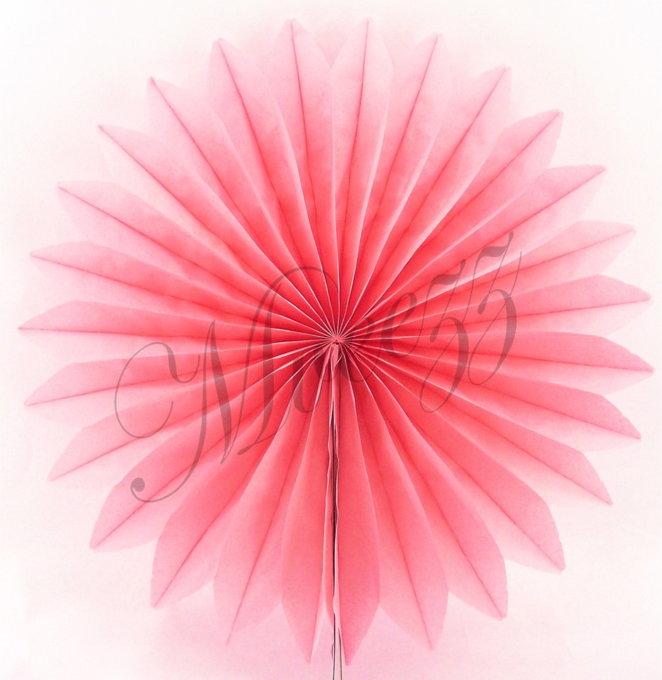 HANGING PAPER TISSUE FAN DECORATIONS BIRTHDAY PARTY WEDDING KIDS ...