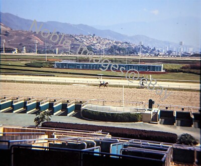 1969 La Rinconada Hippodrome Race Track Caracas Venezuela Ektachrome ...