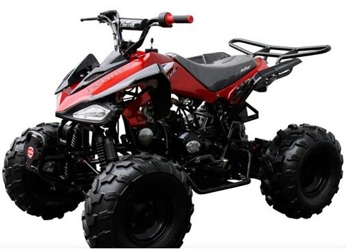 125cc Taotao 125G Cheetah Coolster 3125CX VITACCI JET-9125 ATV Body Red ...