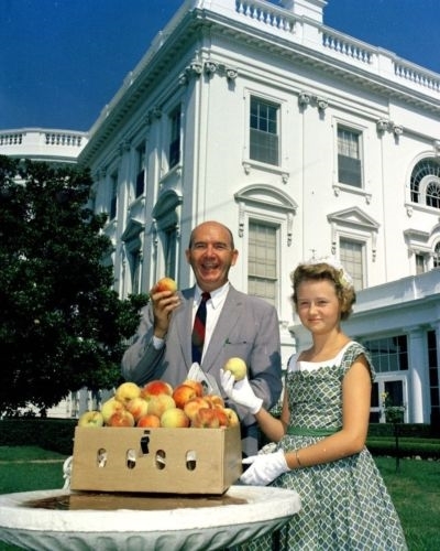 JFK Assistant Dave Powers accepts gift of apples for Pres. Kennedy ...