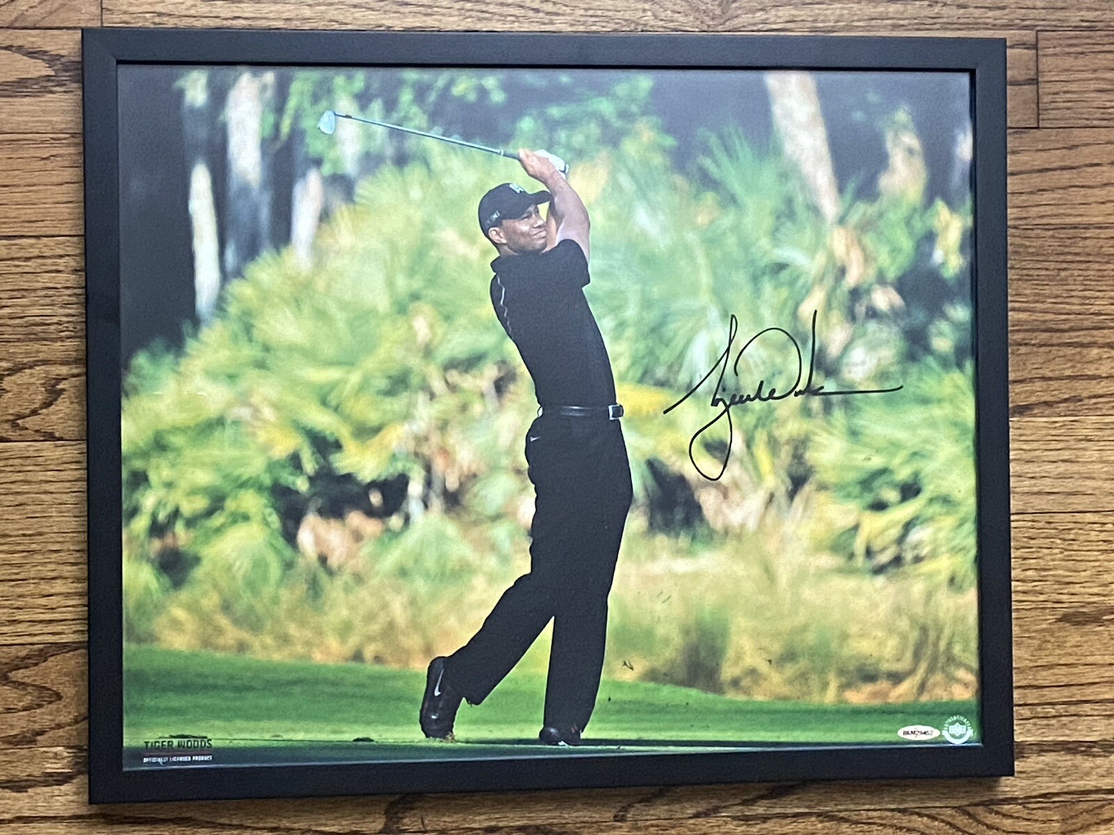 Tiger Woods Golf Memorabilia & Signed Golf Collectibles