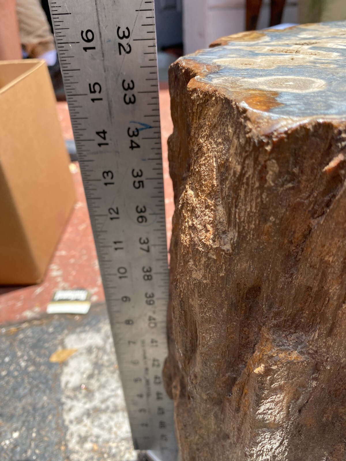 Rare Petrified Wood Trunk Bark 112 lbs Fossil | eBay