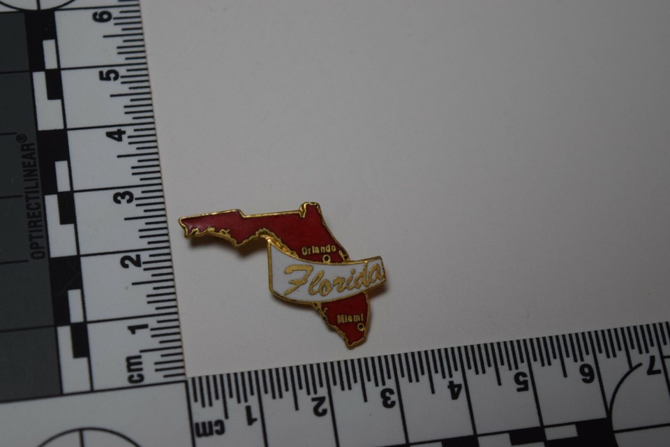Florida US State Outline Enamel Pin | eBay