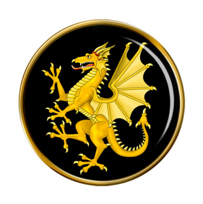 Somerset Dragon Pin Badge | eBay UK