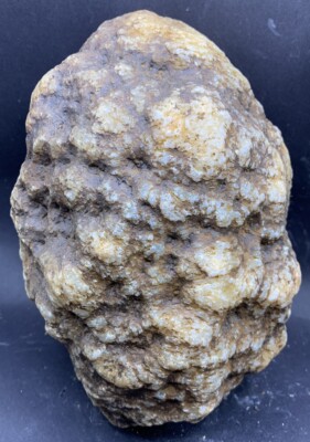 Fossilized Indiana Geode Quartz Crystal Whole 7 Lb Agate crinoid calyx ...