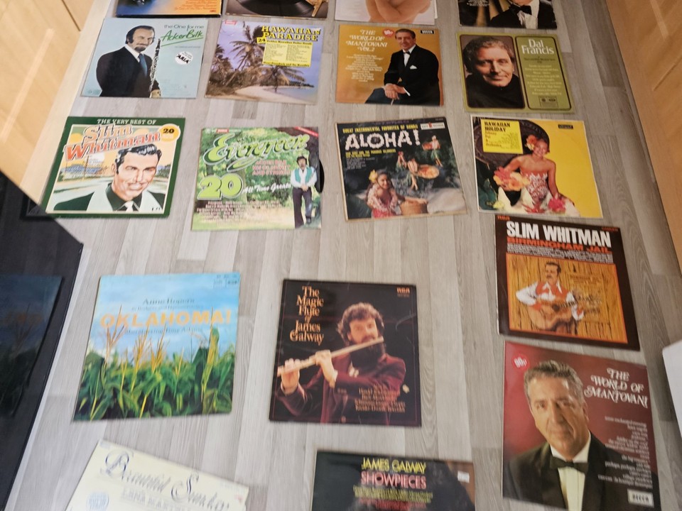 29X VINYL RECORD ALBUMS - 12" LP Bundle,Random,collection faimos artist ...