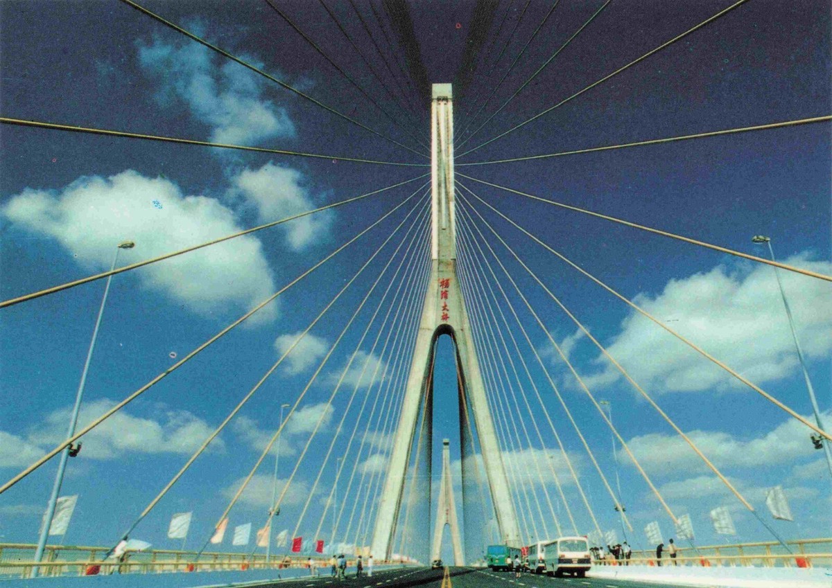 Yangpu Bridge