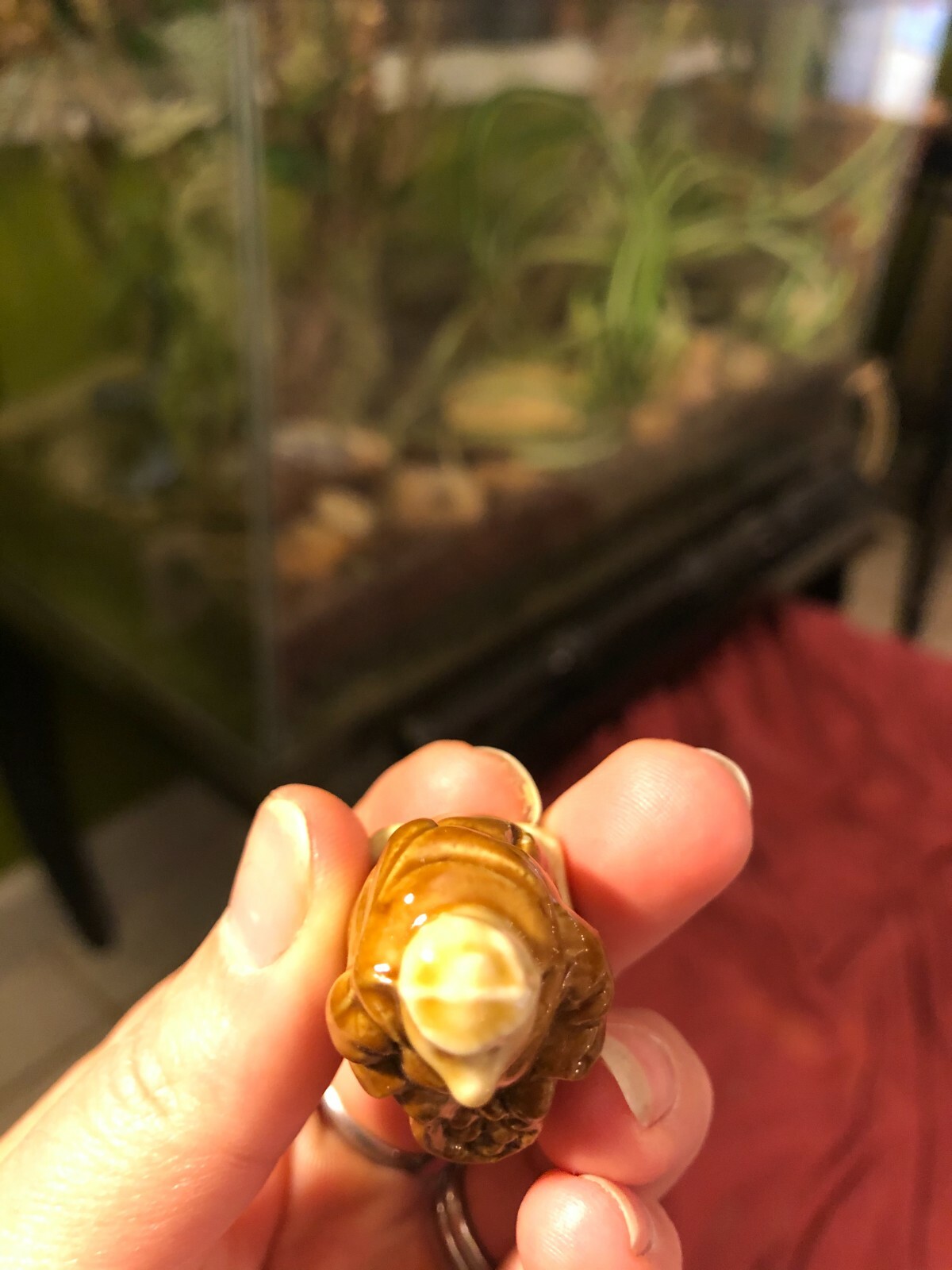 WADE BROTHER BENJAMIN, KP FRIARS, 1983 | eBay