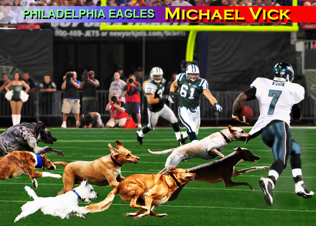 Michael Vick Memes