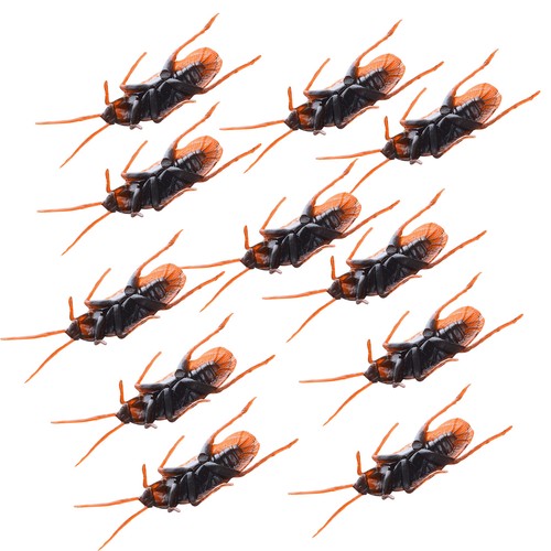 10Pack Prank Funny Magic Trick Joke Special Lifelike Fake Cockroach ...