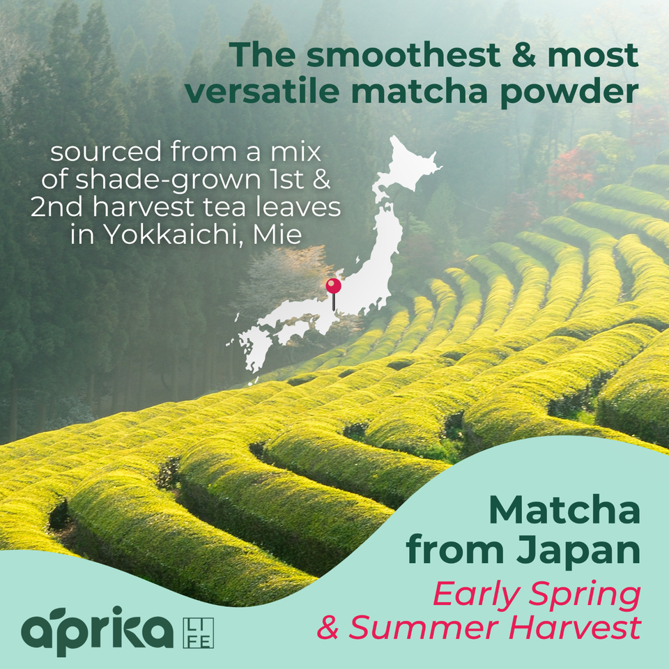 Organic Japanese Matcha Green Tea Powder – Ceremonial/Cafe Grade – Made ...