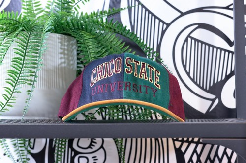 Vintage Chico State Snapback Hat California State University Colorblock ...