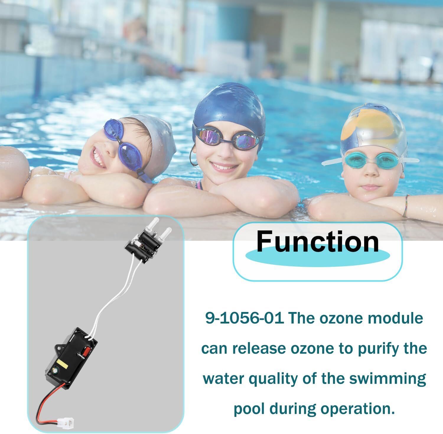 Ozone Module Kit 9-1056-01 Fits for Del Ozone 25, 50, 100, EC-10, EC-20, EC-40 | eBay