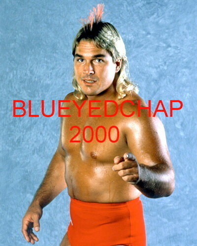 TERRY TAYLOR WRESTLER 8 X 10 WRESTLING PHOTO NWA WWF | eBay