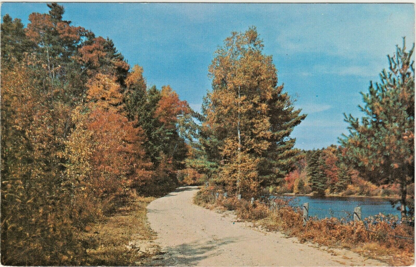 Beautiful Fall Foliage and Trees line a Country Dirt Road along a Lake ...