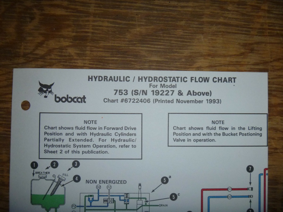 763 Bobcat Hydraulic Drive Parts Diagram Bobcat 753 BICS Skid Steer
