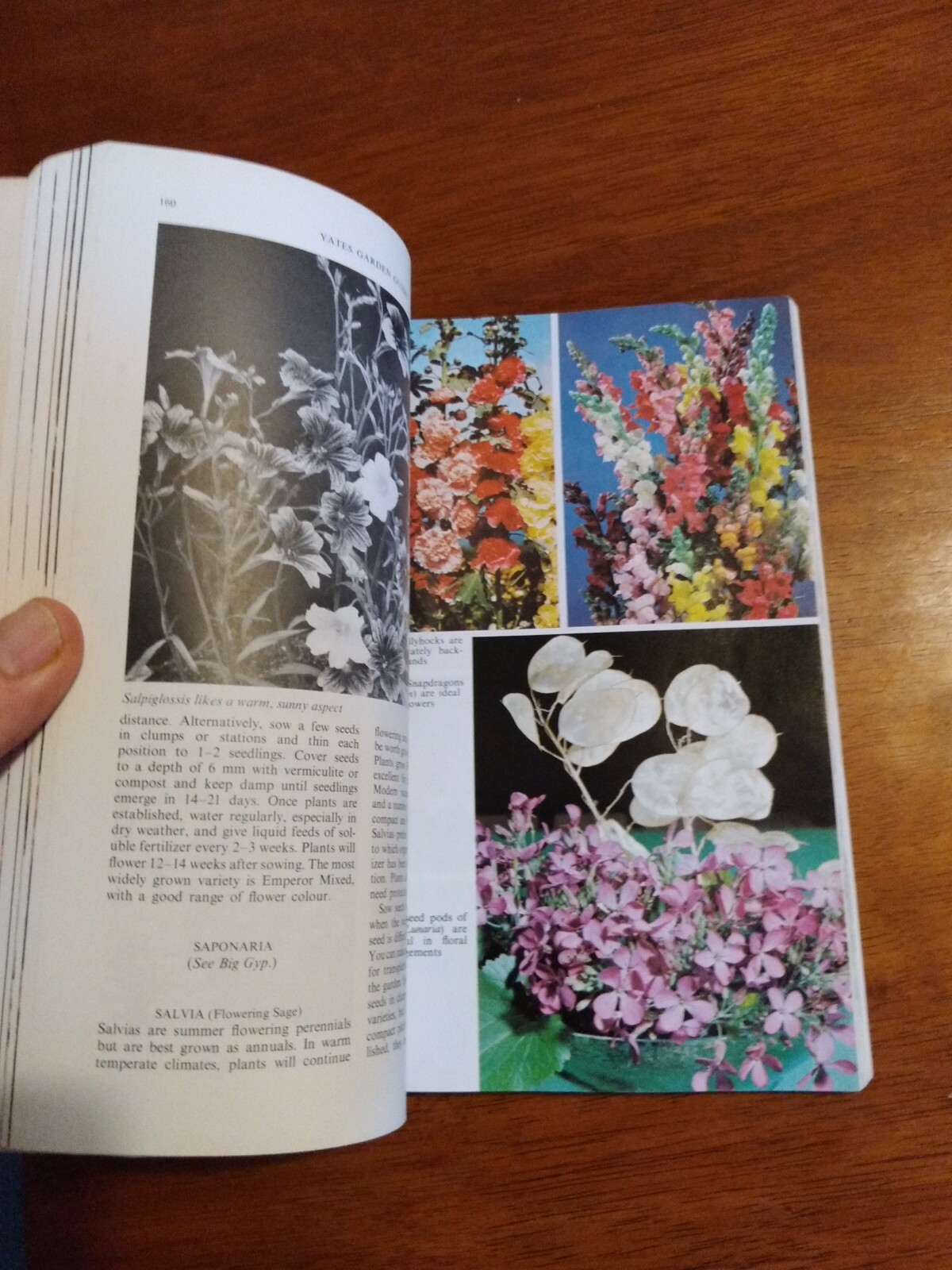 Yates Garden Guide Book (Paperback, 1981) | eBay