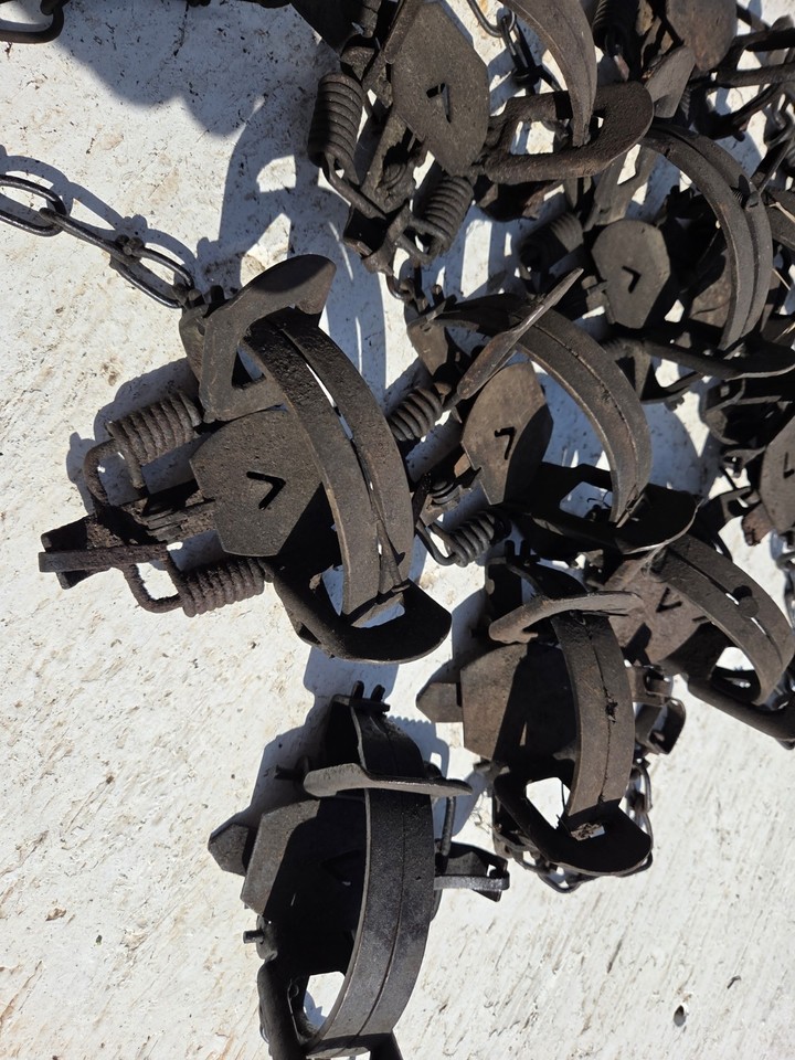 Lot (12) Victor #1.75 Coil Spring Traps Round Jaws Trap Trapping | eBay