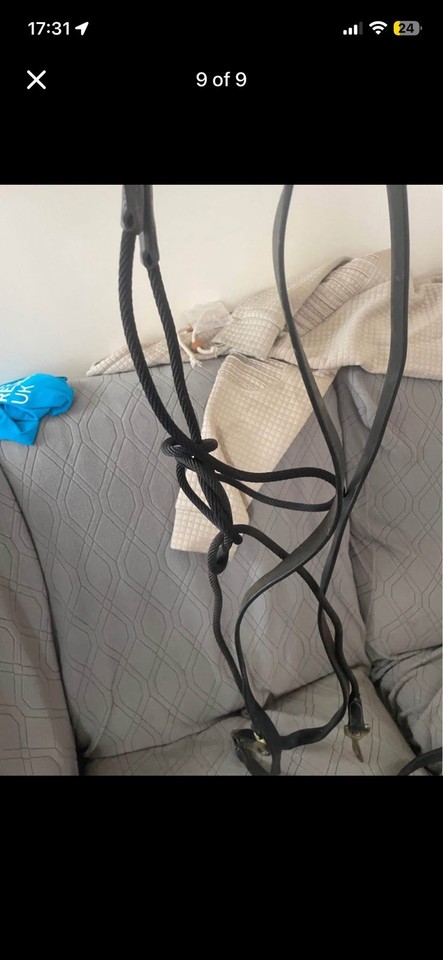 Mixture of Horse Bits Job Lot Horse Tack | eBay UK