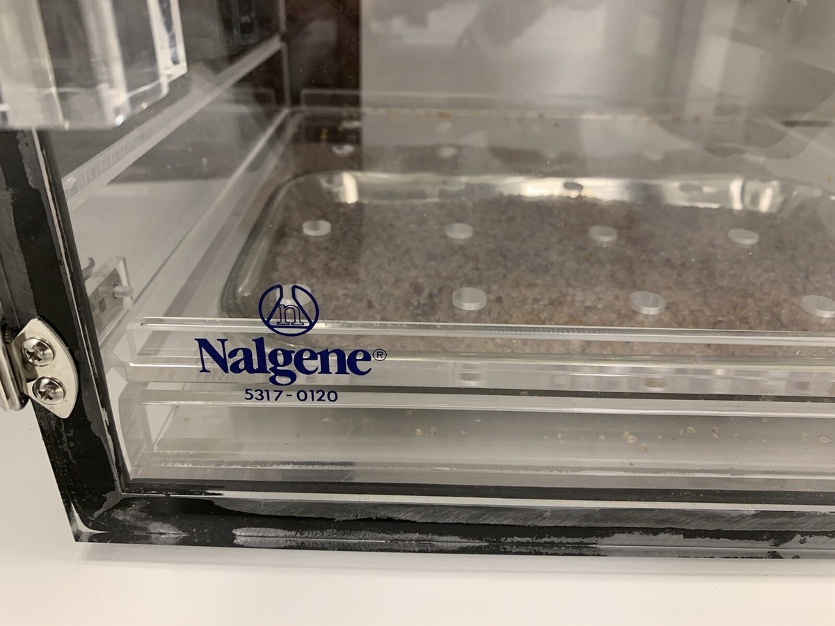 Nalgenetm Acrylic Desiccator Cabinets | Cabinets Matttroy