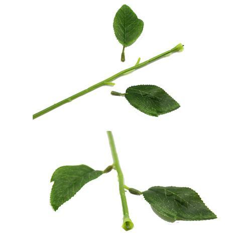 Florist Flower Plastic Wire Rose Stems with LEAVES 2mm Dark Green x 10 ...