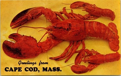 Greeting From Cape Cod Massachusetts MA Lobster c1961 Unposted Postcard ...