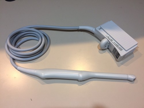 Siemens Acuson EC-10C5 Endocavity Ultrasound Transducer Probe | eBay