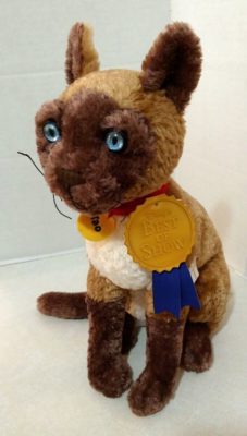 Tao Cat