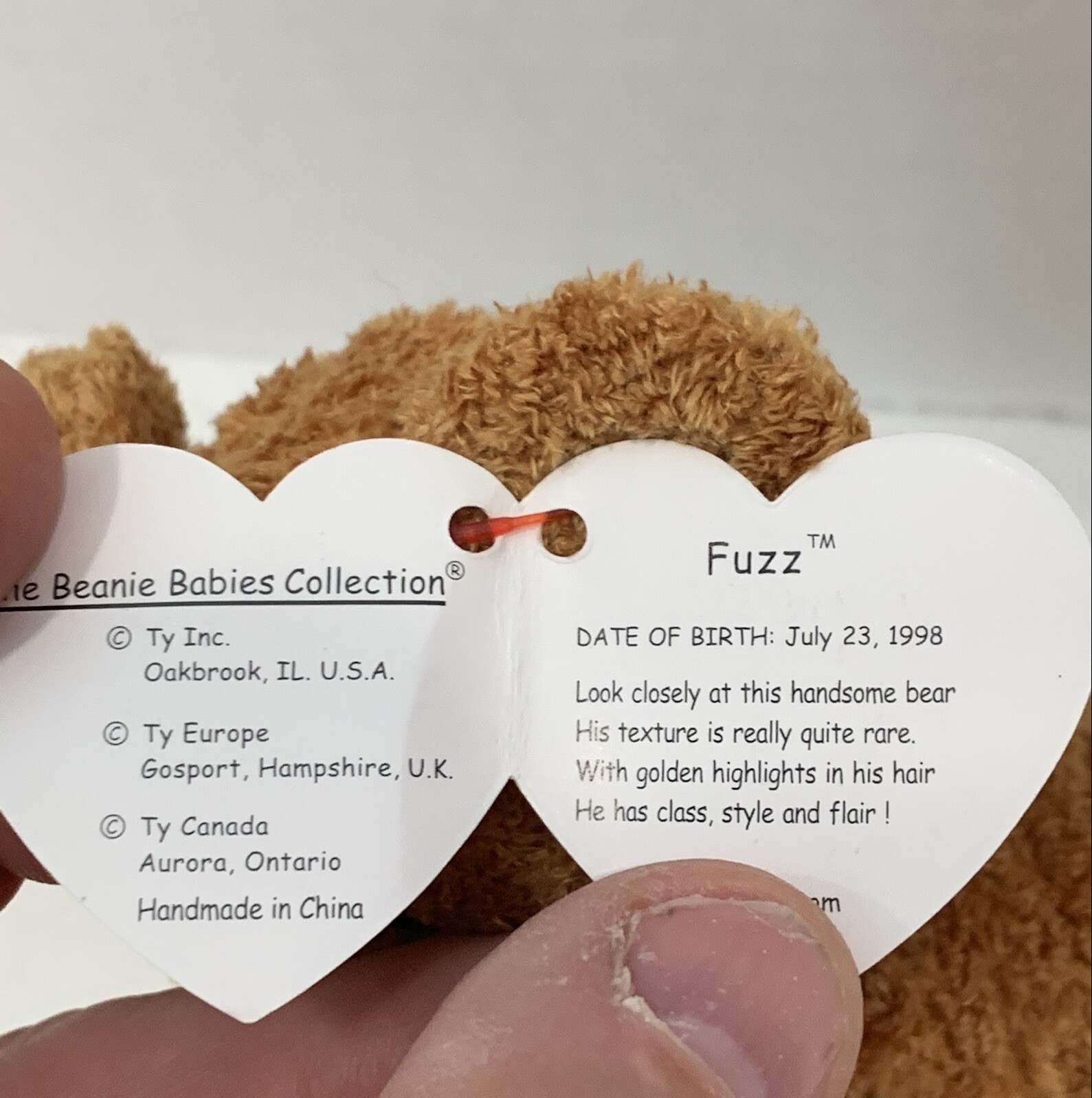 1998 - 1999 Rare, Retired Ty Beanie Baby Fuzz The Bear with Errors👀🔥🔥 ...