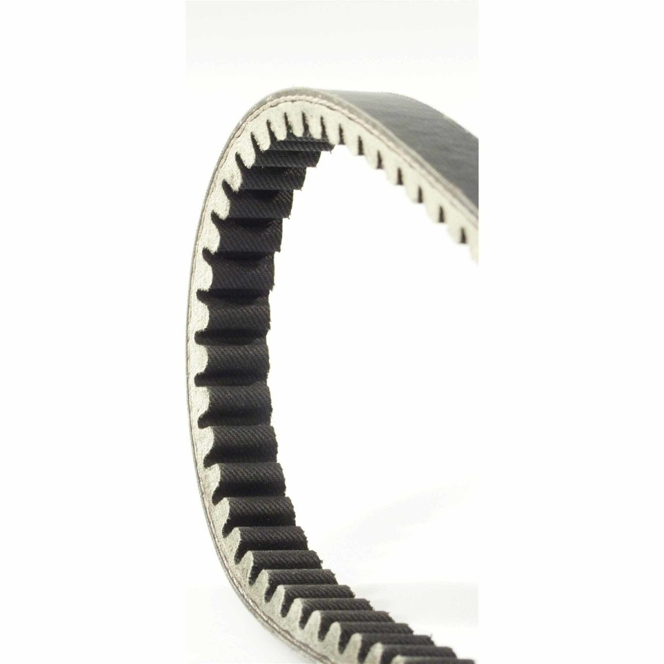 Cinghia variatore POLINI PIAGGIO 50 per Vespa S 4T 2008-2014 | eBay