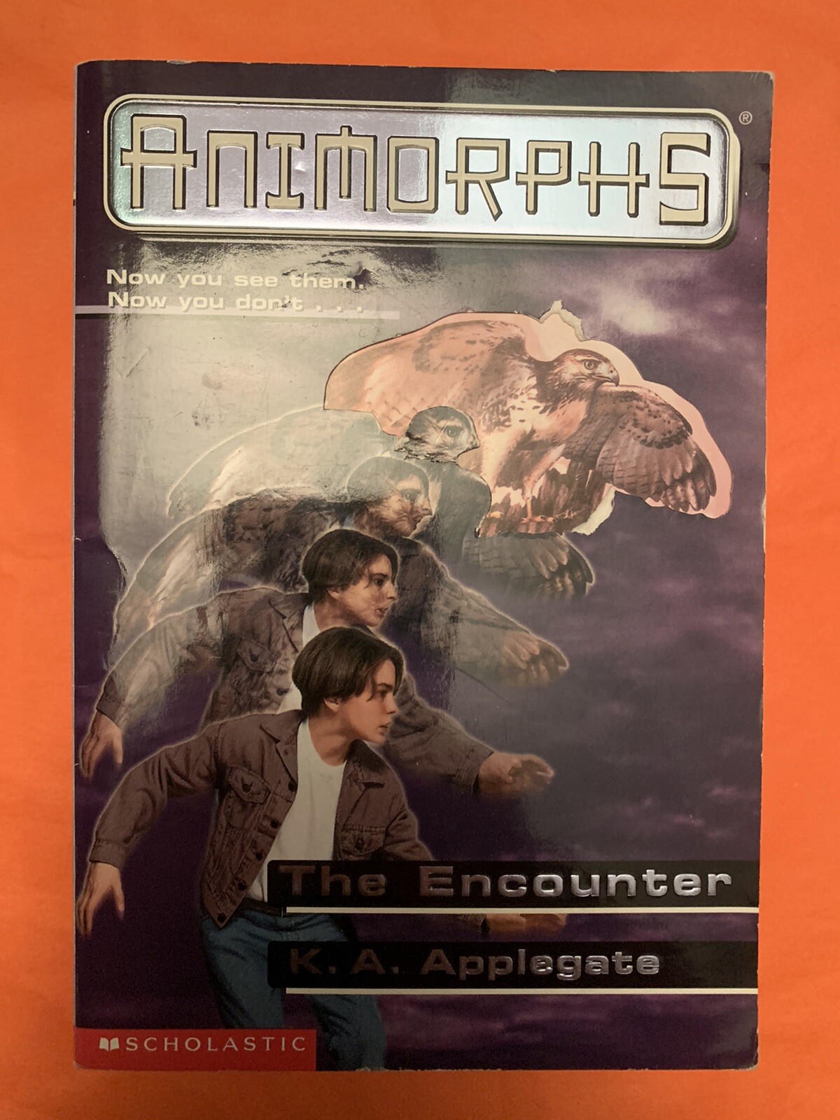 The Encounter Animorphs