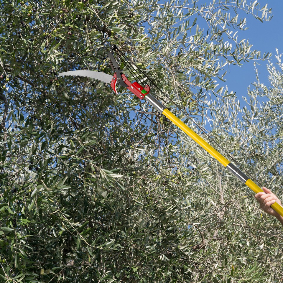 30ft Manual Pole Saw, Lightweight Tree Trimmers Long Handle Pruner Set ...