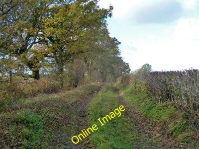Photo 6x4 Track to Upper Bordean Farm Froxfield Green It looks like a ...