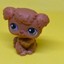 LPS Authentic 2004 LITTLEST PET SHOP #39 Poodle Dog Brown Puppy Purple ...