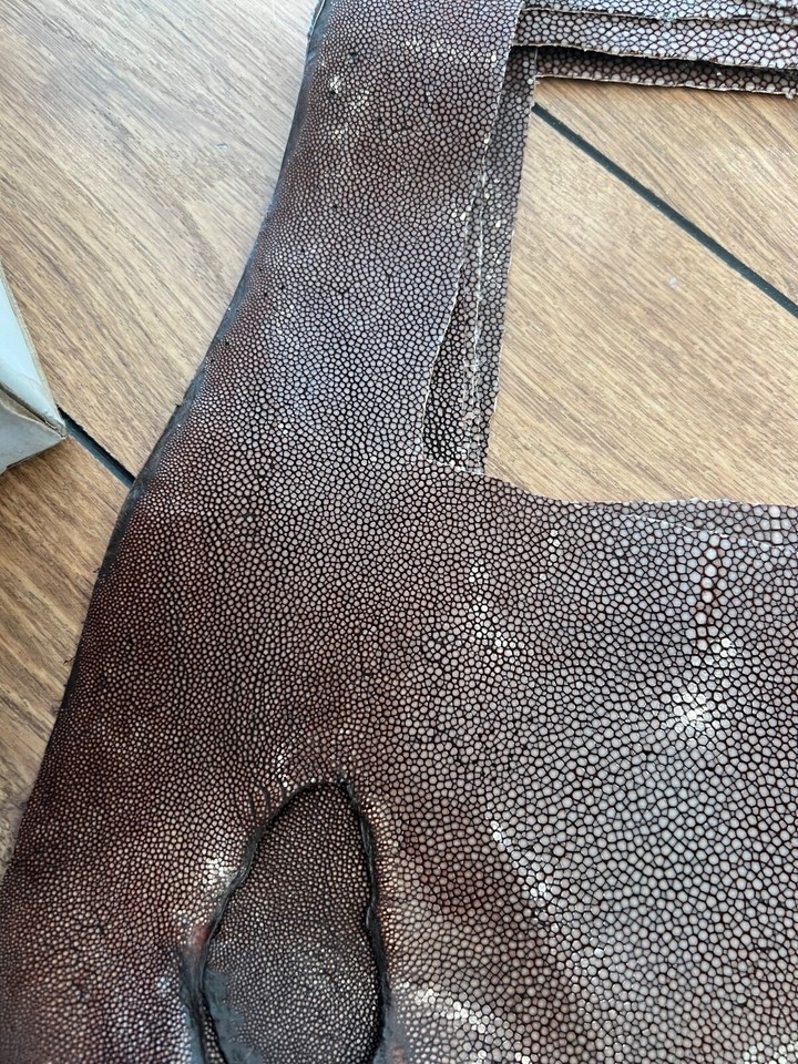 5 SANDED POLISHED STINGRAY/SHAGREEN GENUINE SKIN Natural Rawhide ...
