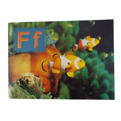 Steck-Vaughn Phonic Readers Plus: Early Reader ~Level Ff ~ Alphabet ...