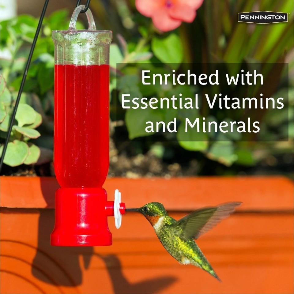Ready-to-Use Ultra Hummingbird Liquid Bird Food No Artificial Dye 64 Fl ...