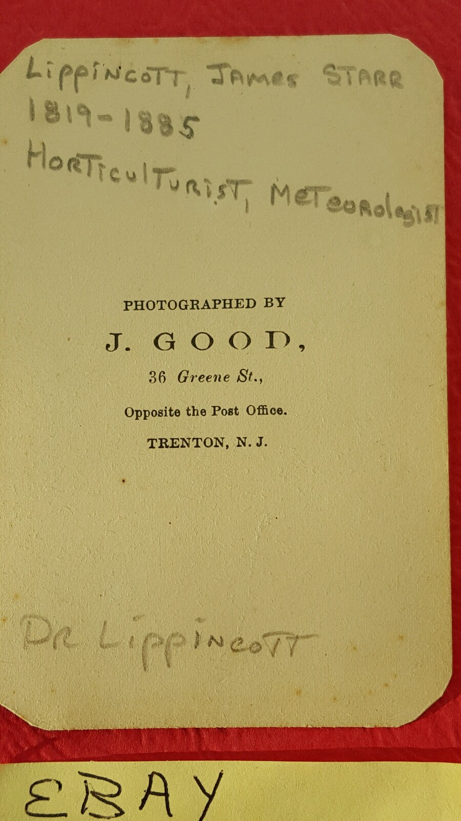 CDV Trenton NJ James Starr Lippincott Horticulturist Author Antique ...