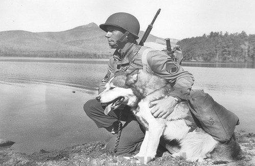 WW2 Photo Picture US Soldier Sgt stops with his dog for a rest 1942 ...
