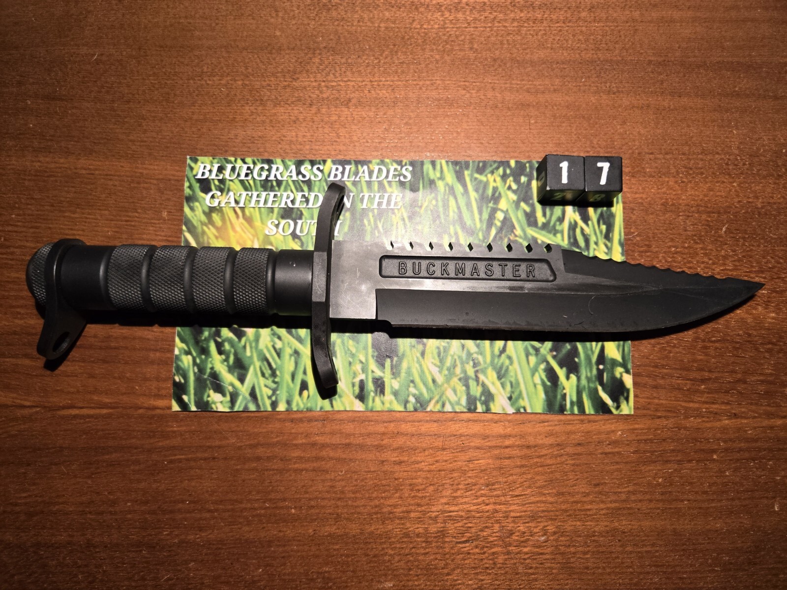 BUCK USA 184 BUCKMASTER LARGE BOWIE-BLADED SURVIVAL KNIFE W/ SHEATH ...
