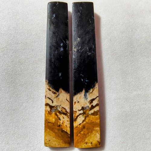 43 Cts Natural Fossilized Palm Root Match Pair Cabochon Gemstone 54.4 X ...