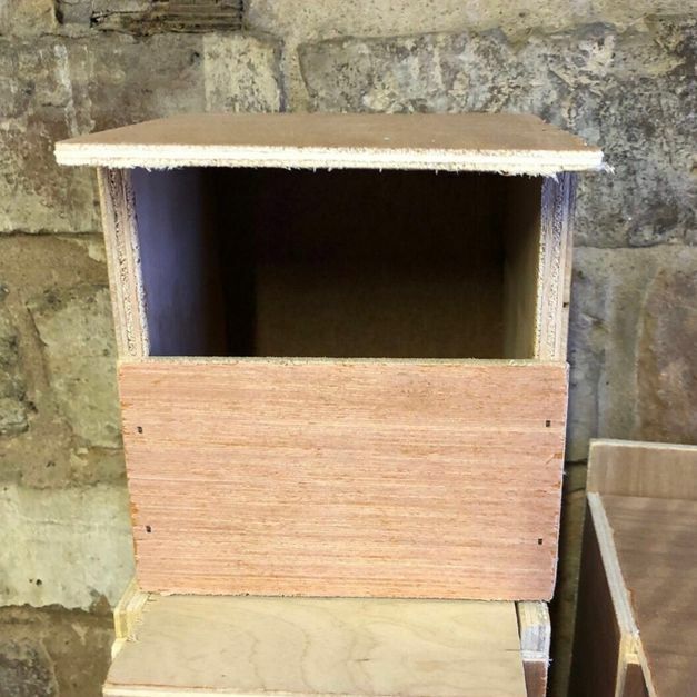 Zebra Finch Nest Box Plans Your Life With Zebra Finches: Always