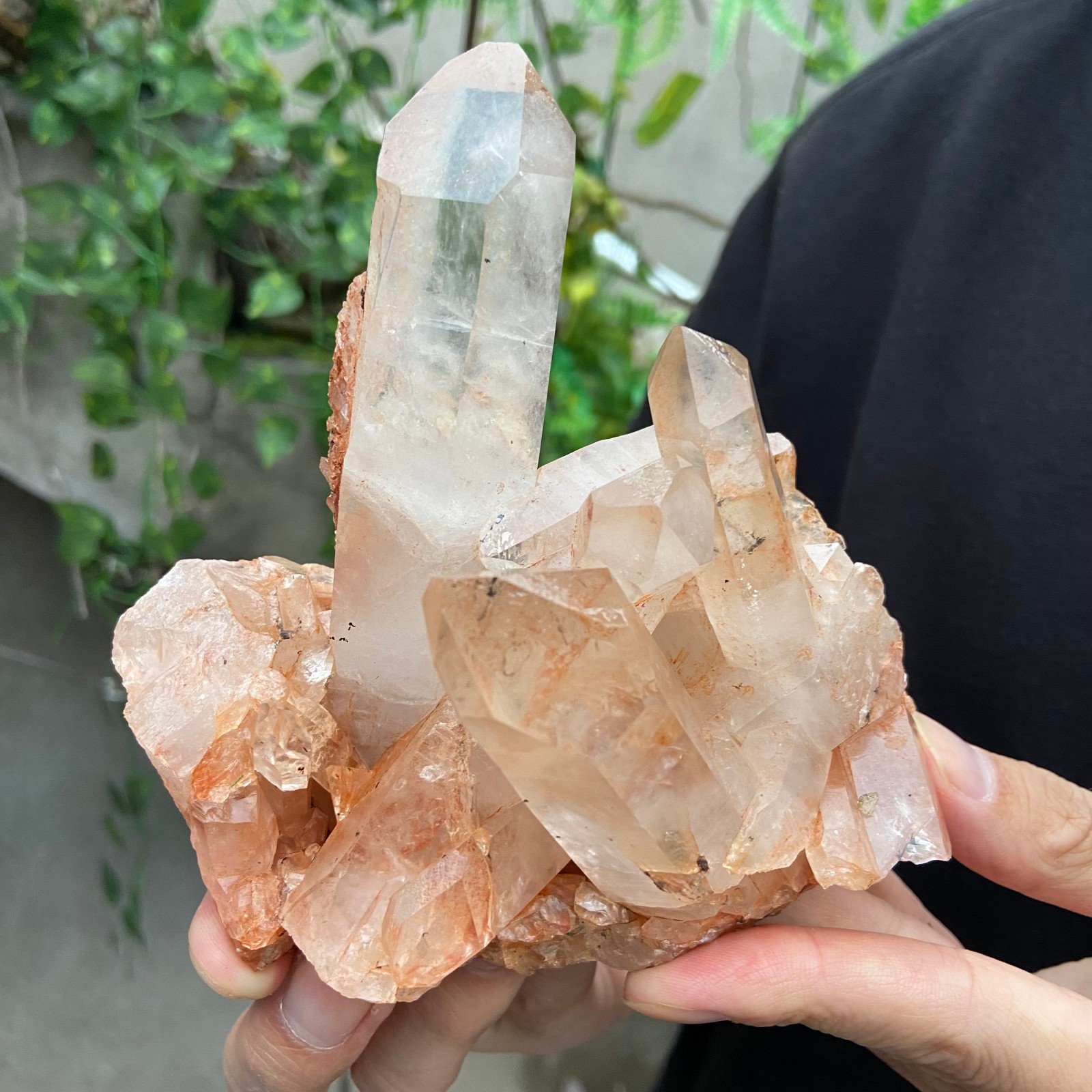 1.4lb Natural Clear White Quartz Crystal Cluster Rough Healing Specimen ...