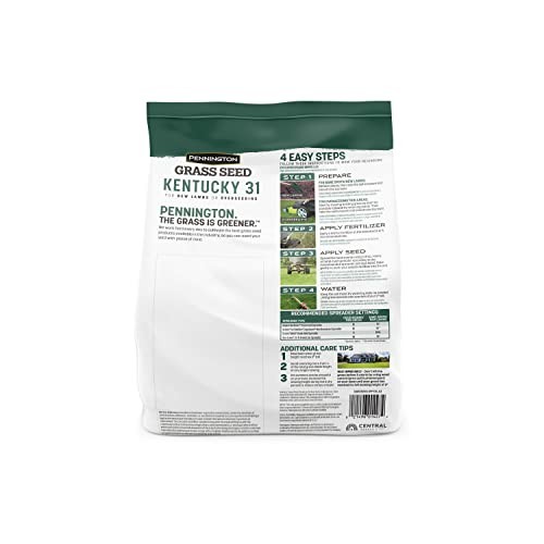 Pennington Kentucky 31 Tall Fescue Penkoted Grass 3 lb (Pack of 2 ...